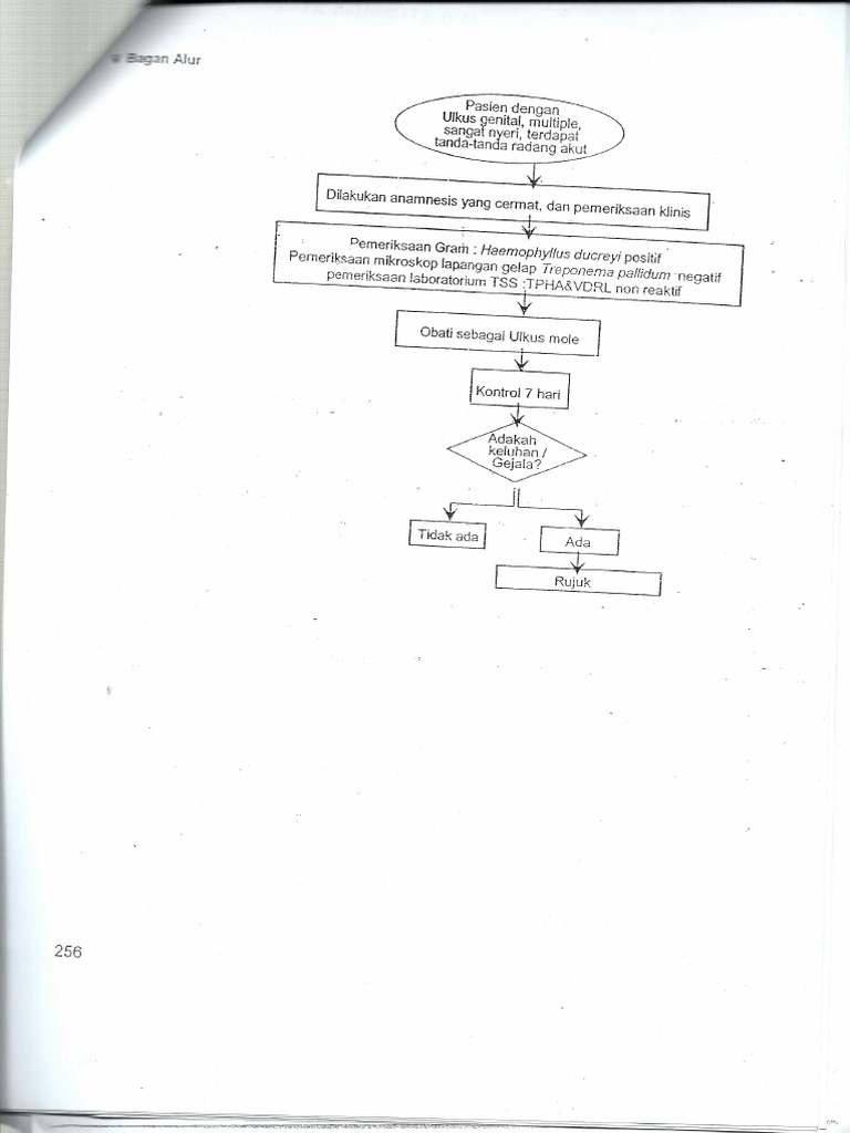 Alur Tatalaksana Ulkus Molle | PDF