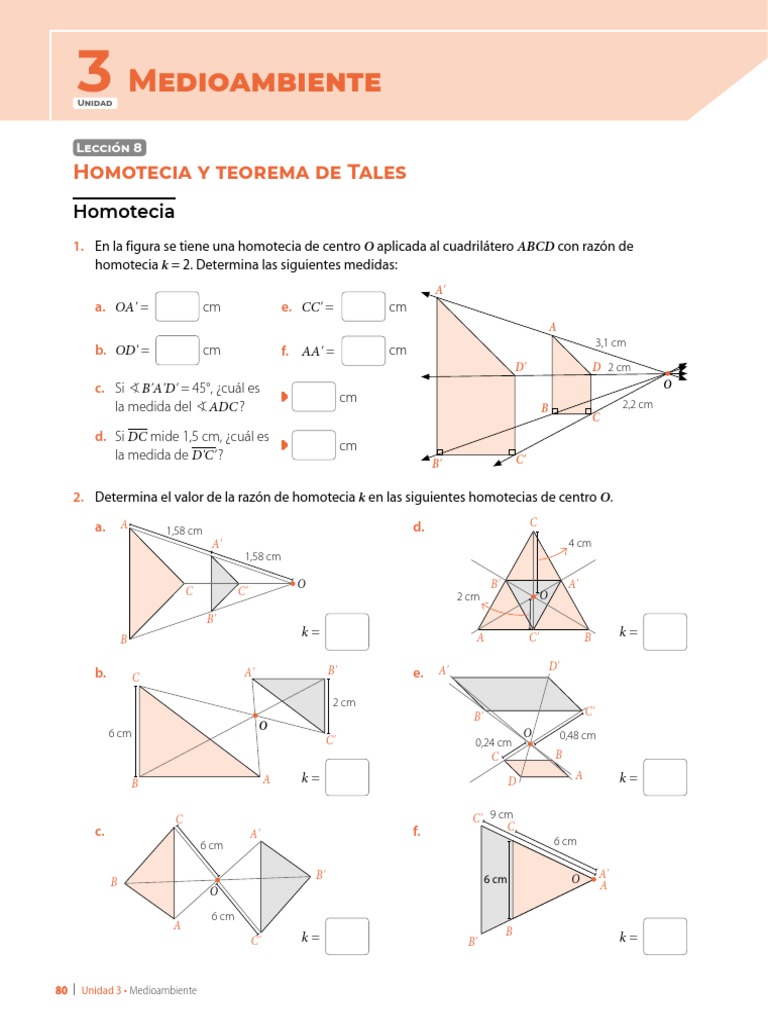 Ejercicios Homotecia | PDF | Triángulo | Rectángulo