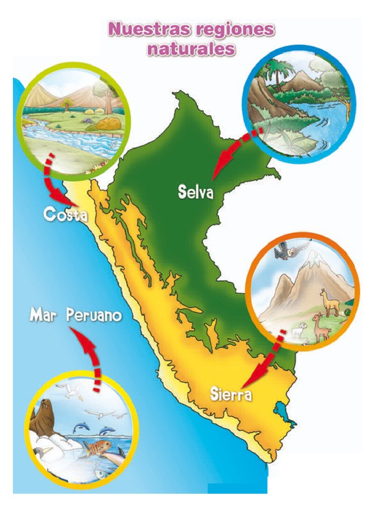 Mapa Regiones Naturales Del Peru | PDF