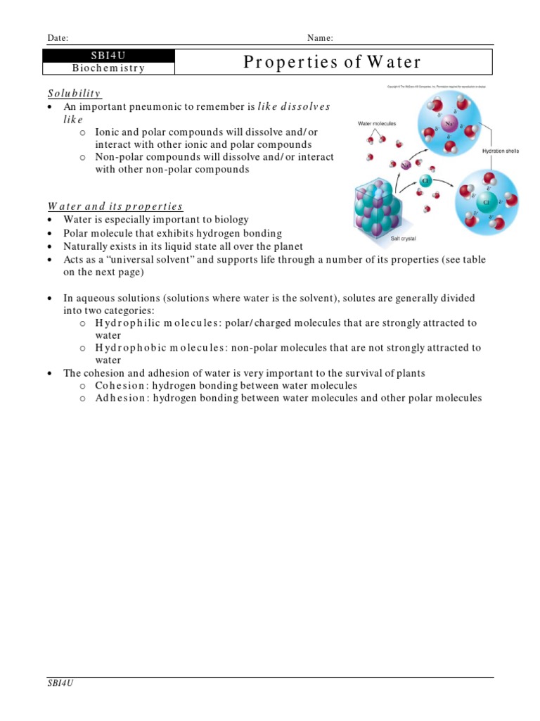 Review Properties of Water | PDF