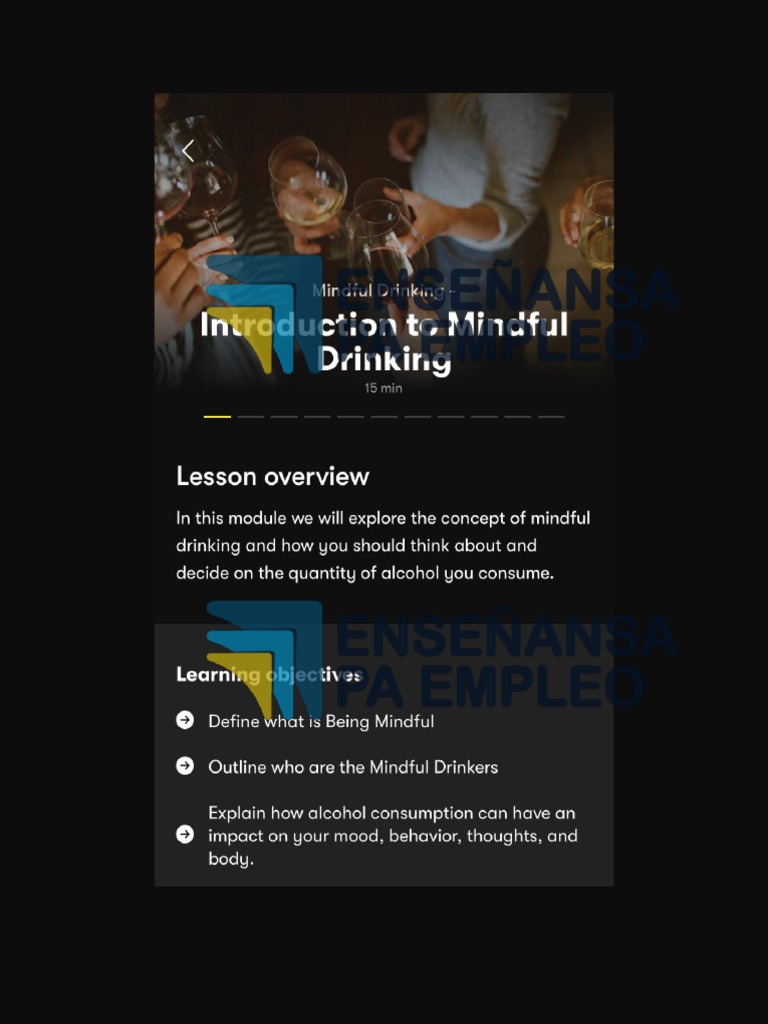 Intro To Mindfull Drinking | PDF