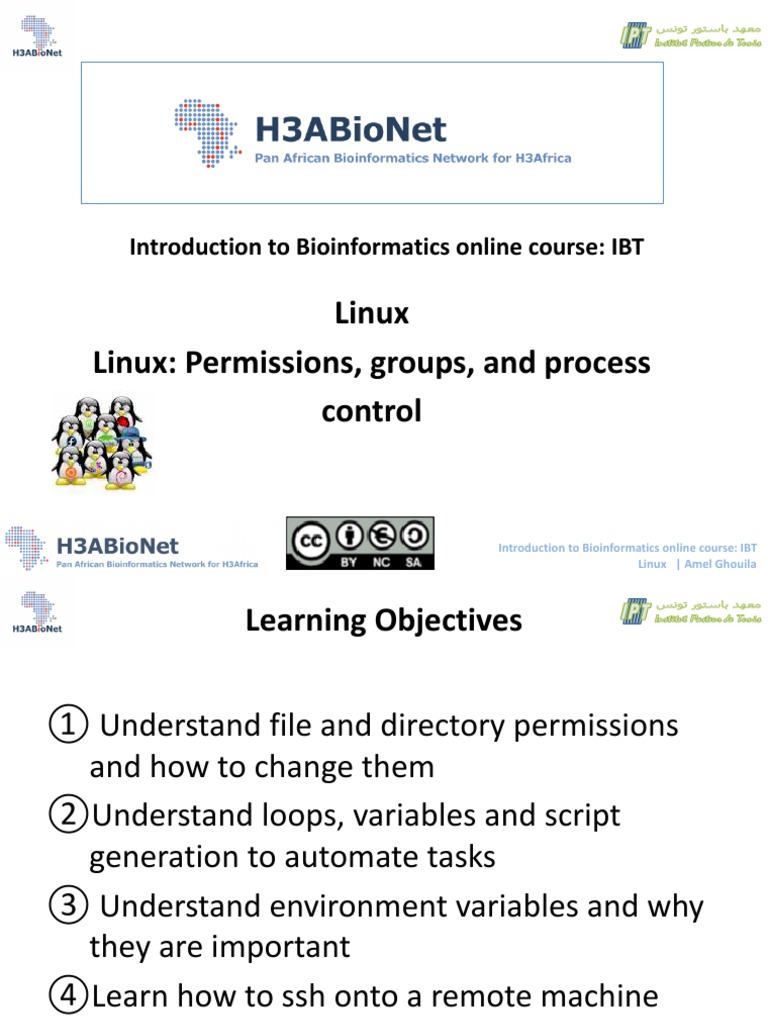 Module2 Session4 | PDF | Computer File | Shell (Computing)