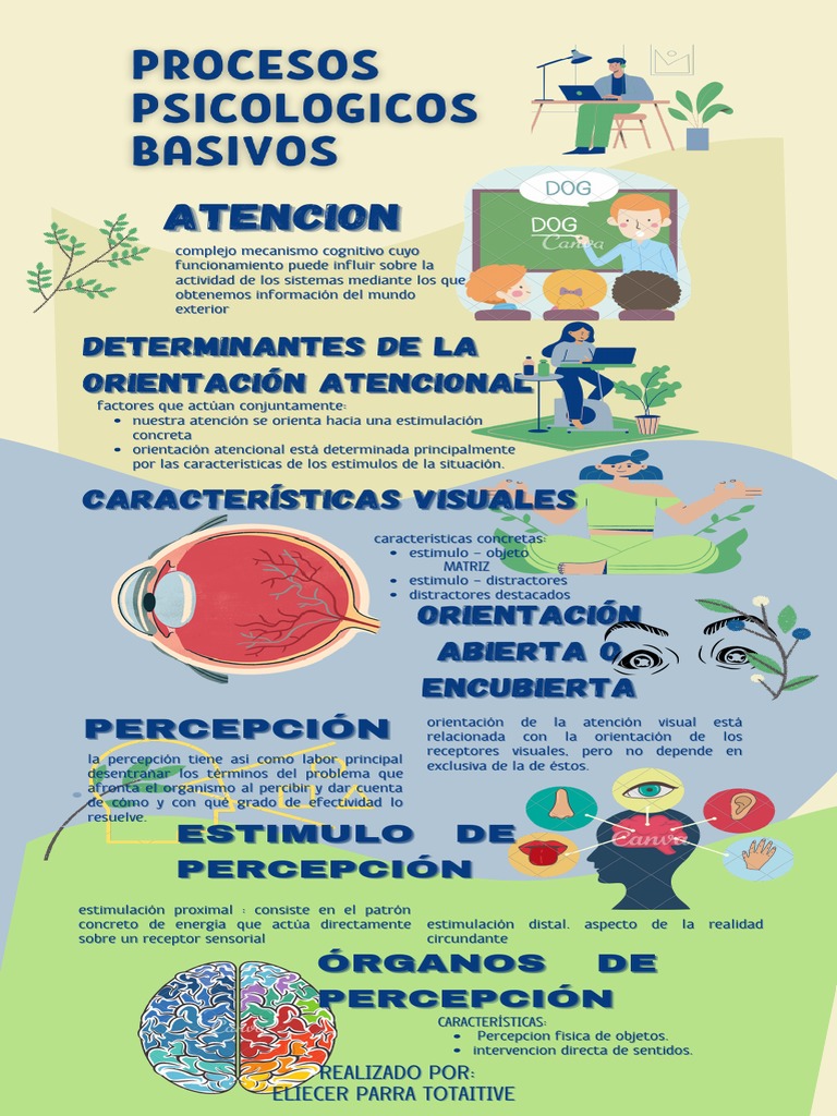 Procesos Psicologicos Basicos | PDF | Percepción | Las emociones