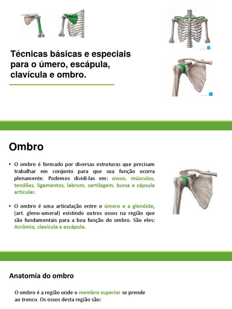 OMBRO | PDF | Anatomia humana | Sistema Locomotor