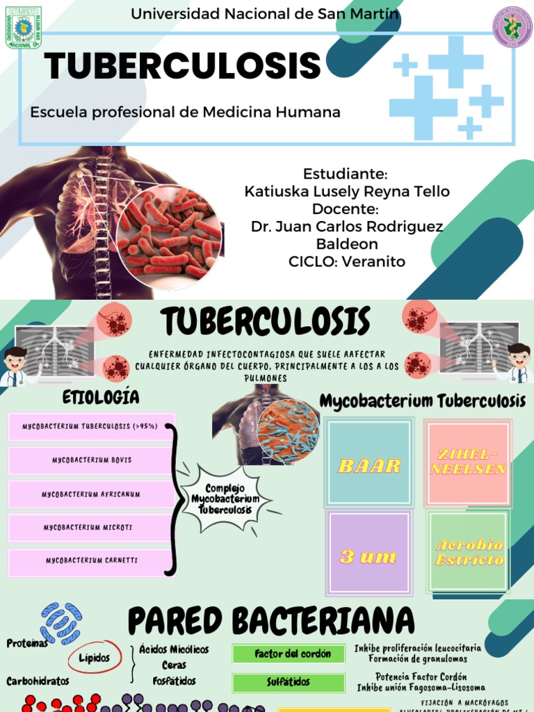 Tuberculosis | PDF