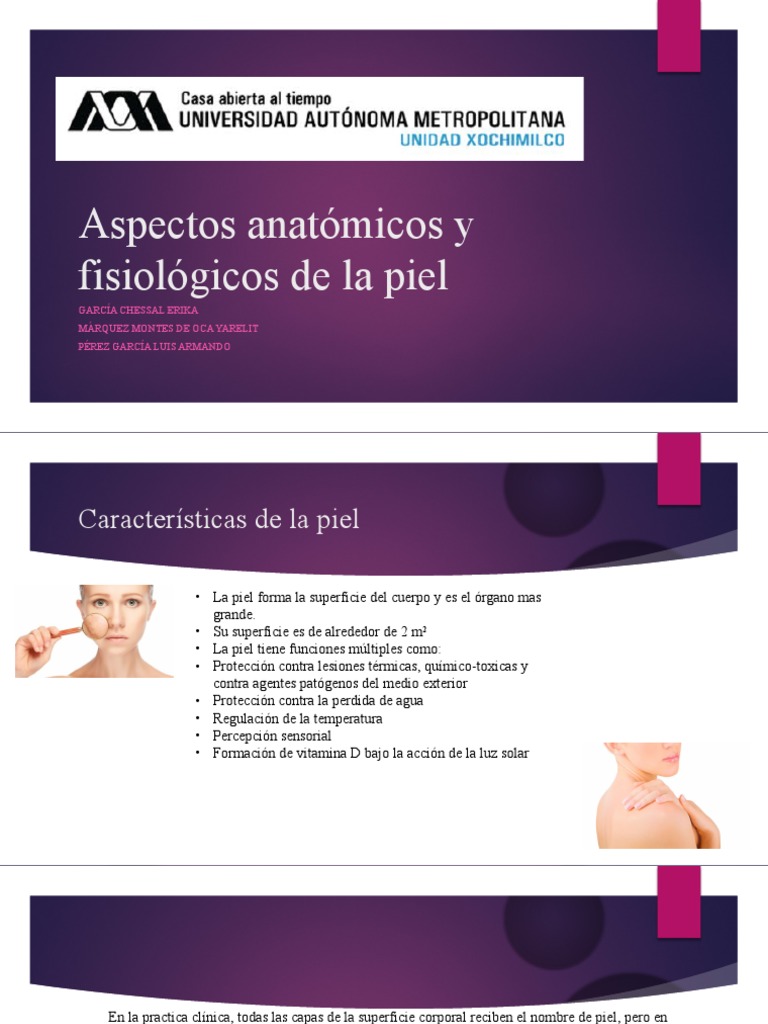 Piel Presentación | PDF | Piel | Epidermis