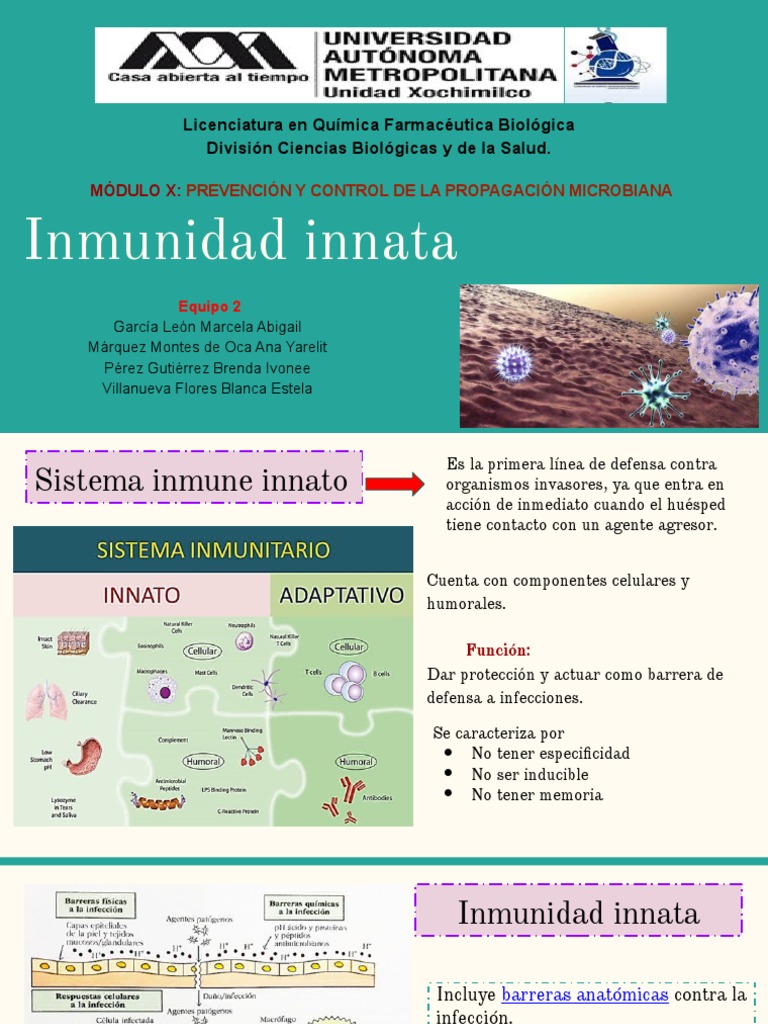 Inmunidad Innata | PDF | Inflamación | Sistema inmune