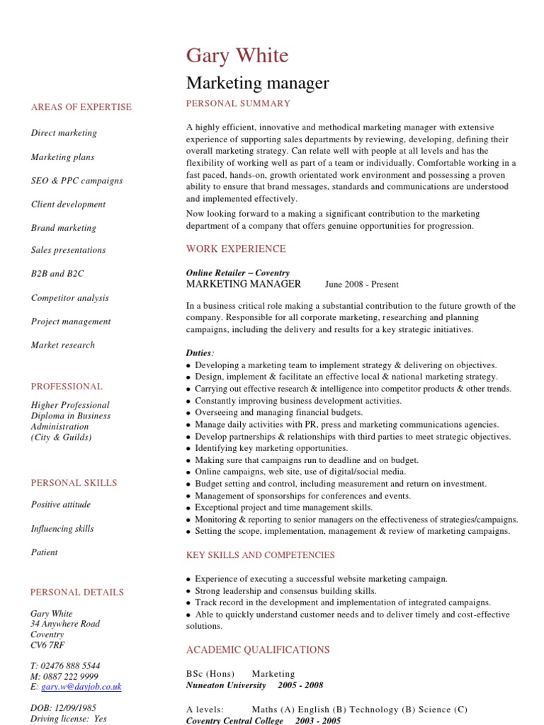 Marketing Manager CV Template | PDF