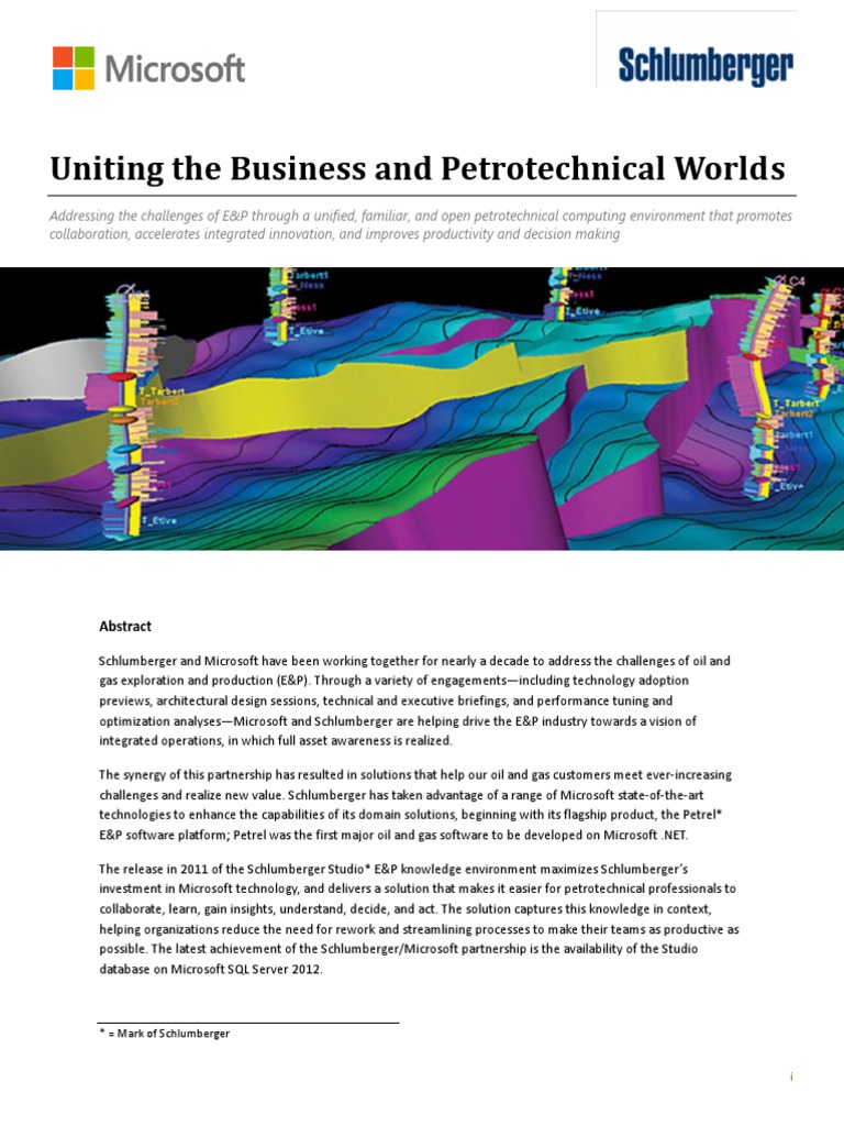 5102 Schlumberger and Microsoft White Paper | PDF | Databases ...