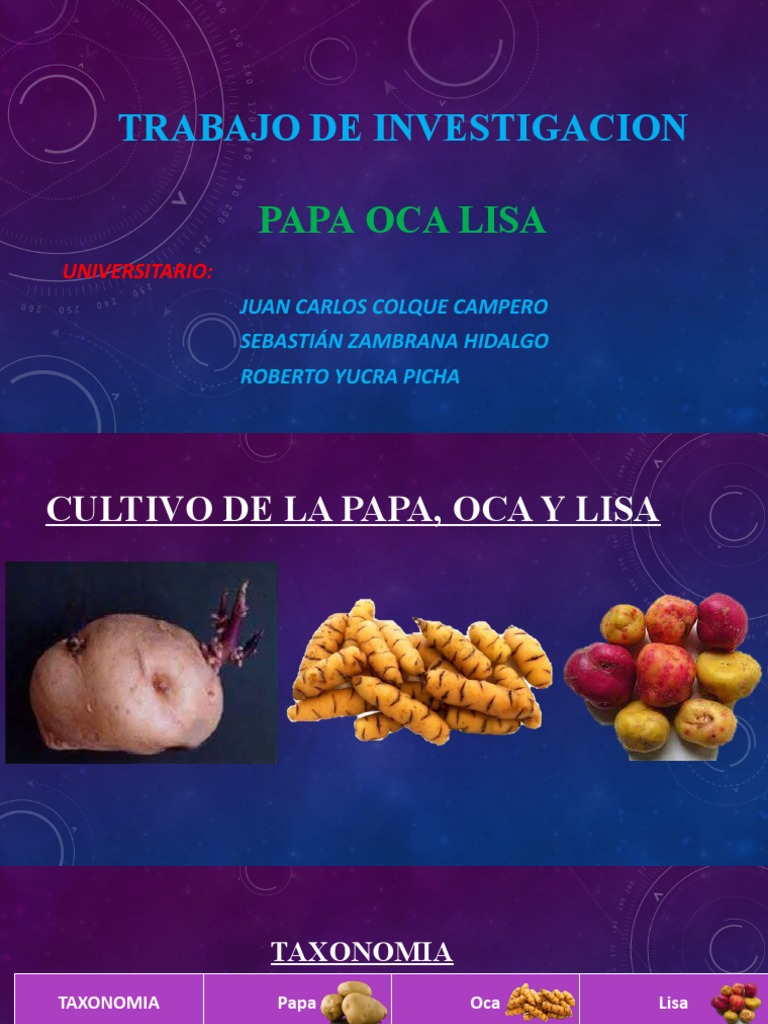Diapositivas Papa Oca Lisa | PDF