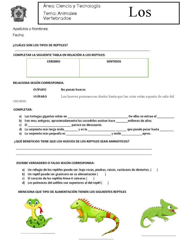 Examen de Los Reptiles | PDF