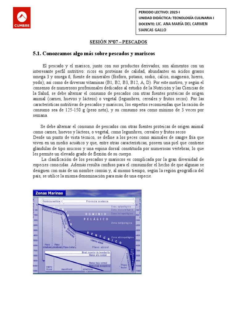 SEPARATA #07 - Pescados | PDF | Pescado como alimento | Moluscos