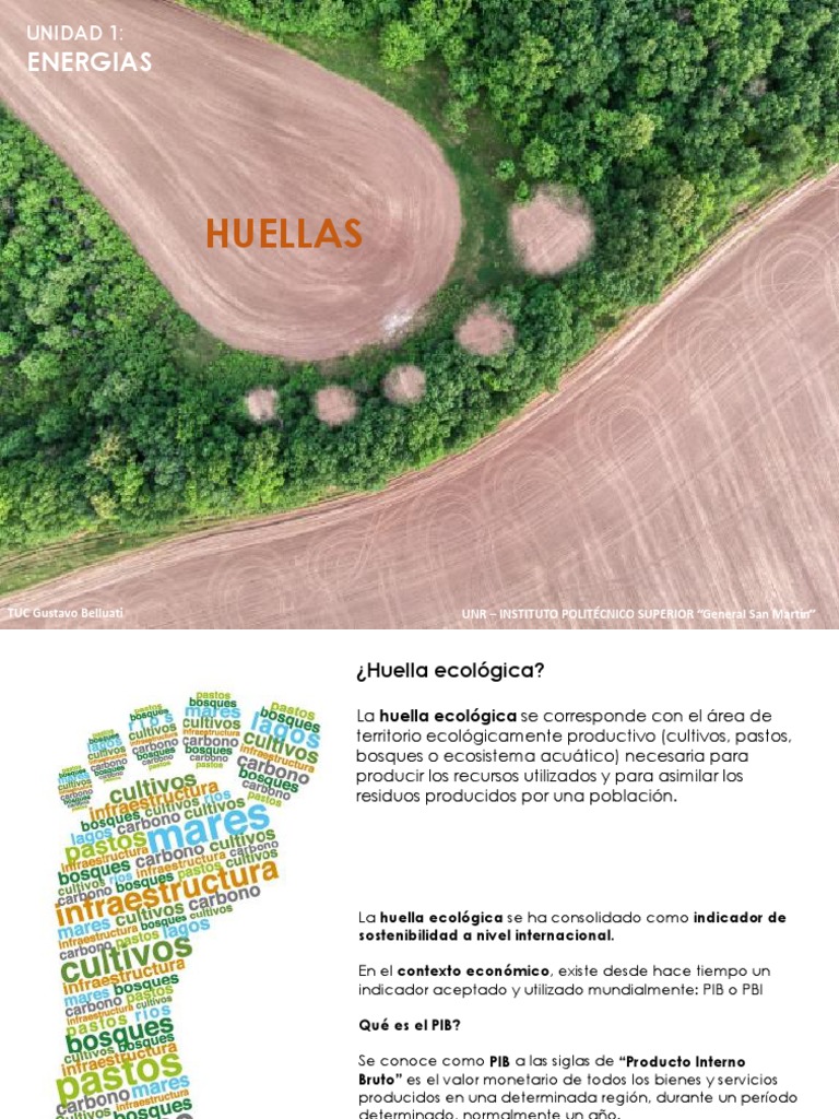 3 Huellas | PDF | Sustentabilidad | Producto Interno Bruto