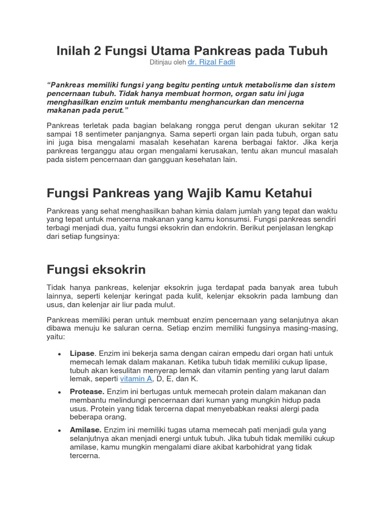 2 Fungsi Utama Pankreas Pada Tubuh | PDF | Kesehatan Holistik