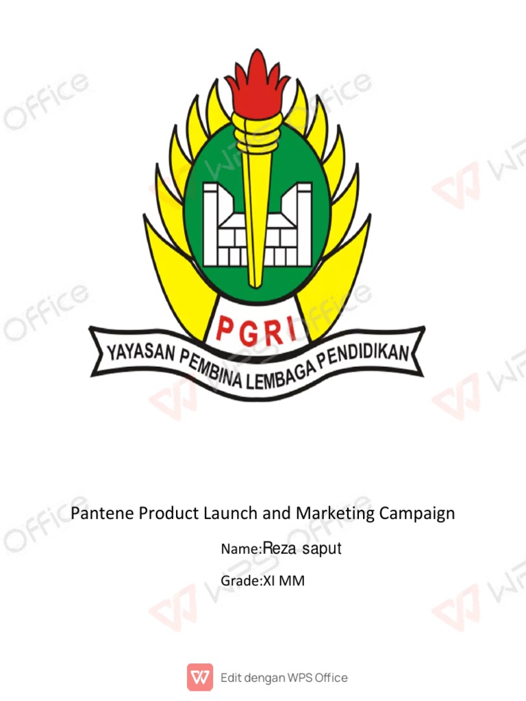 Pantene's New Product Launch Strategy | PDF | Brand | Marketing