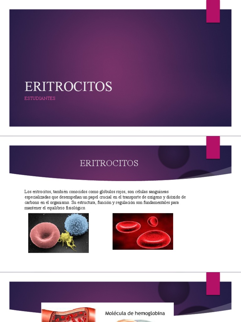 Estructura y función de los eritrocitos | PDF | Glóbulo rojo | Sangre