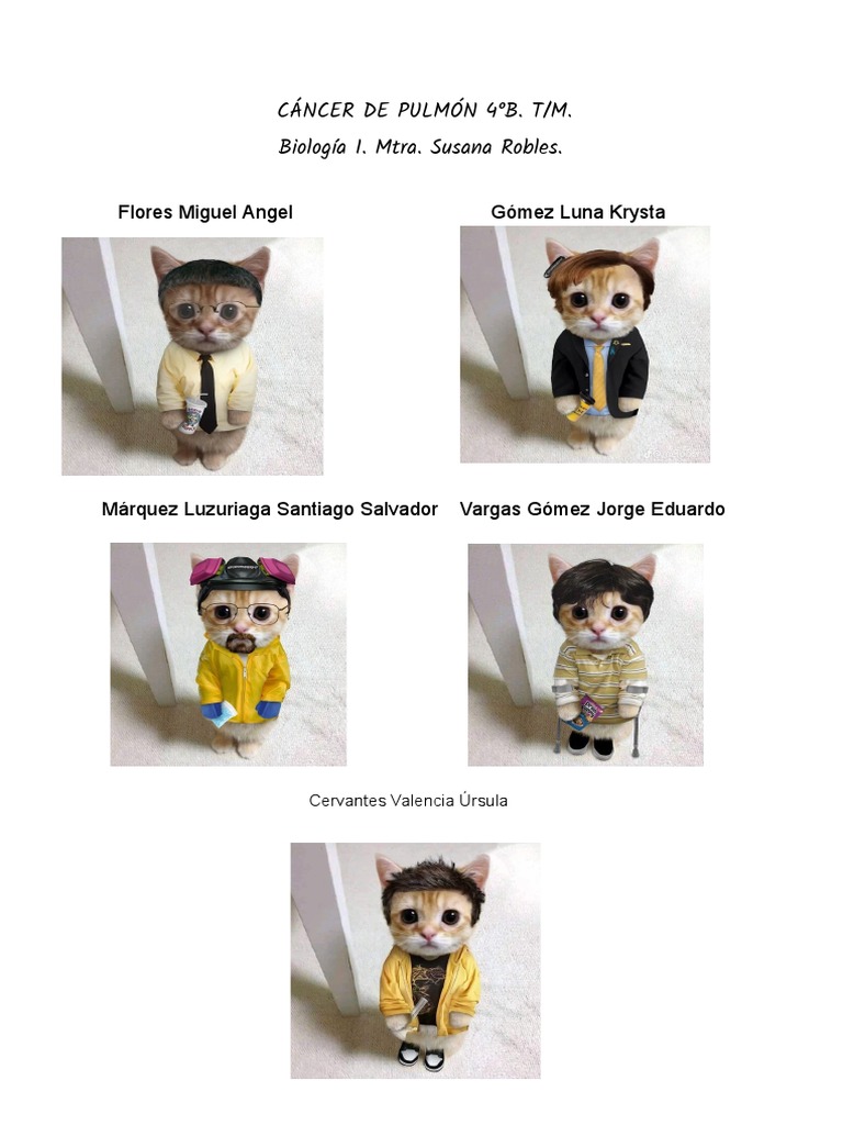 Proyecto Cancer Del Walter Blanco | PDF | Cáncer | P53