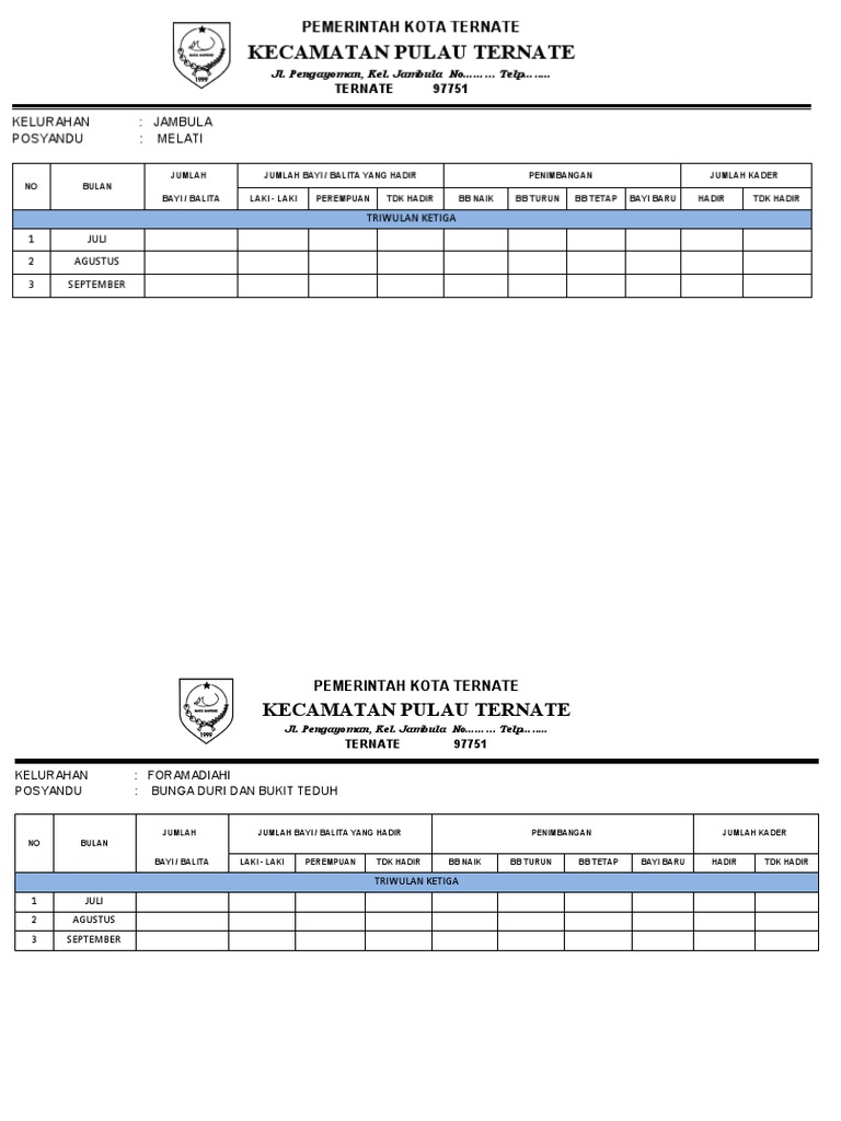 Posyandu Rekap | PDF