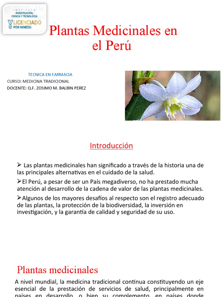 Plantas Medicinales | PDF | Plantas medicinales | Medicina
