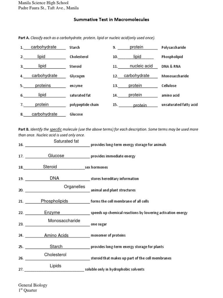 Summative Test in Macromolecules | PDF | Carbohydrates | Polysaccharide