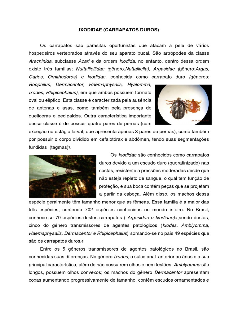 Carrapatos Ixodidae: Características e Doenças | PDF | Especialidades ...
