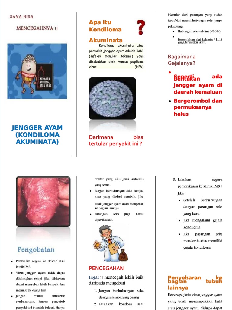 Apa Itu Kondiloma Akuminata | PDF