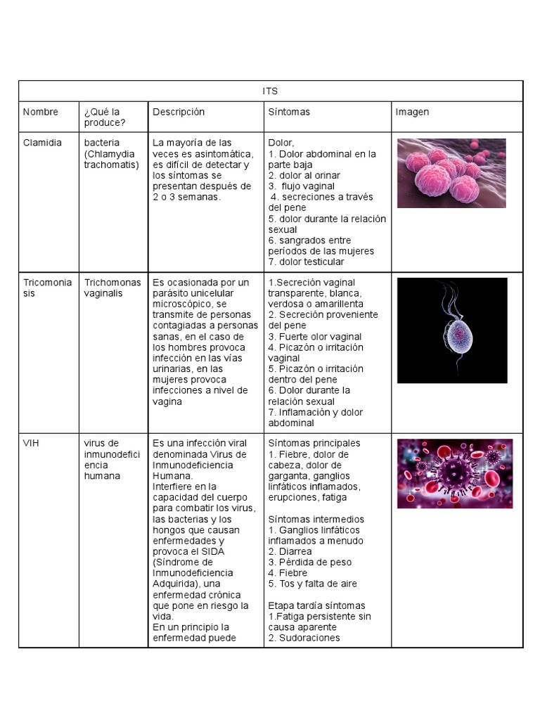 Guía de Síntomas de ITS Comunes | PDF | Infección transmitida ...