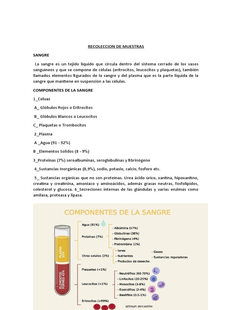 Recoleccion de Muestras | PDF | Sangre | Leucocito
