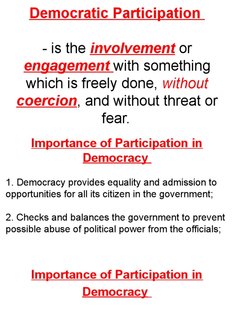 Importance of Democratic Participation | PDF