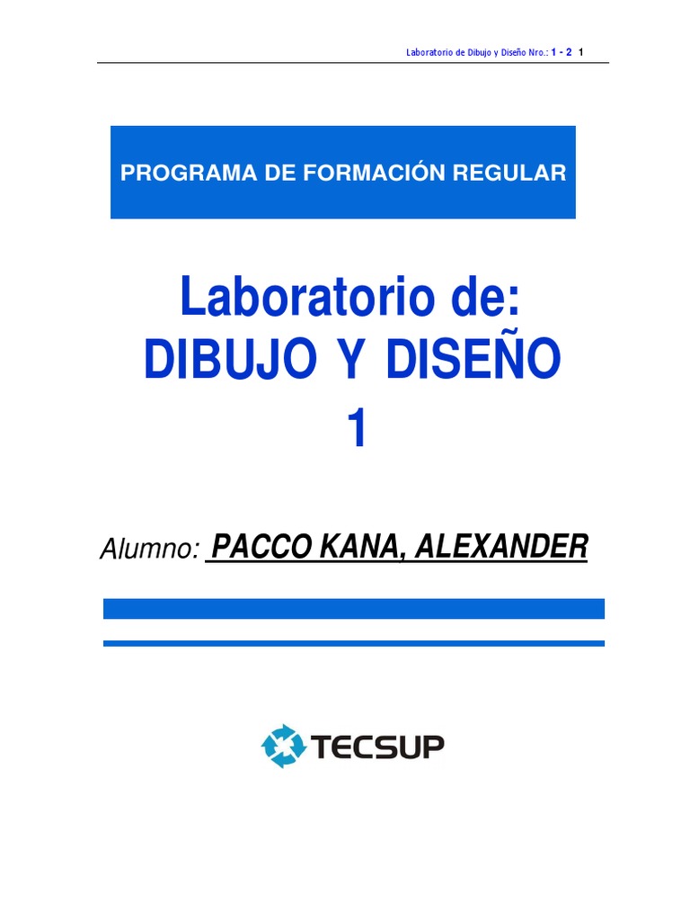 Guía para Dibujar en Laboratorio | PDF | Arte