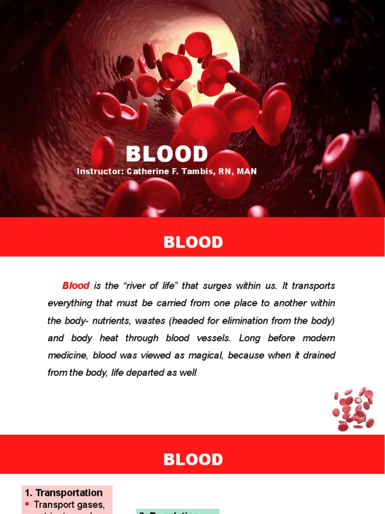 Blood | PDF | Blood Type | White Blood Cell