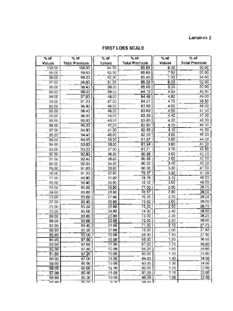 Lampiran 2 - First Loss Scale | PDF