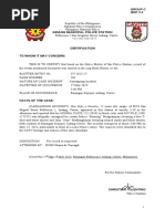 Spot Report On Vehicular Traffic Accident Sample | PDF | Land Transport ...