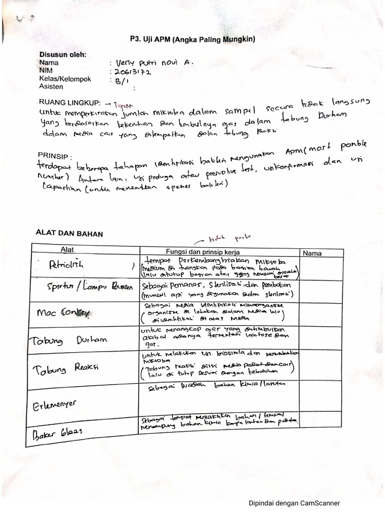 Laporan Akhir Uji Apm | PDF