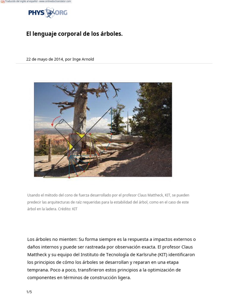 2014 05 Body Language Trees - En.es | PDF