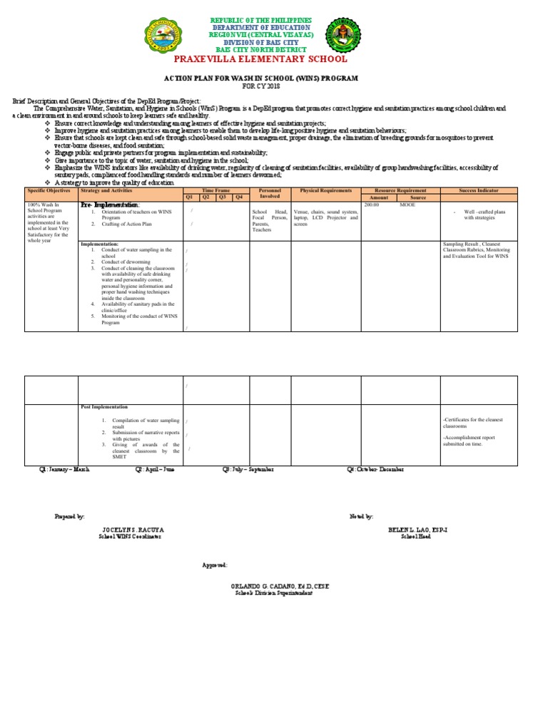Action Plan-Wins | PDF