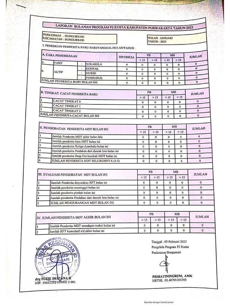 Contoh Laporan KUSTA | PDF