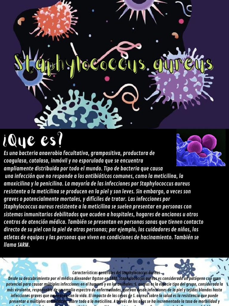 Staphylococcus | PDF | Staphylococcus Aureus | Medicina CLINICA
