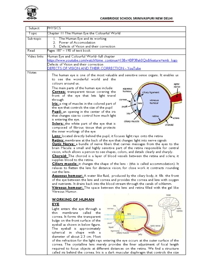 11.1 Human Eye and Its Defects | PDF