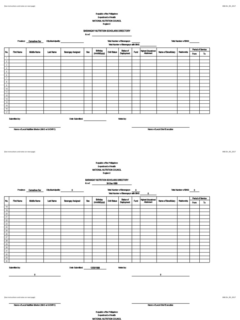BNS Directory Matrix | PDF