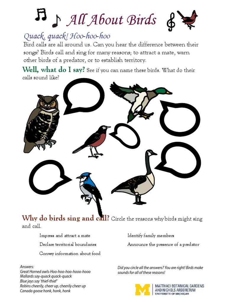 Revised Bird Booklet Web | PDF | Birds | Beak