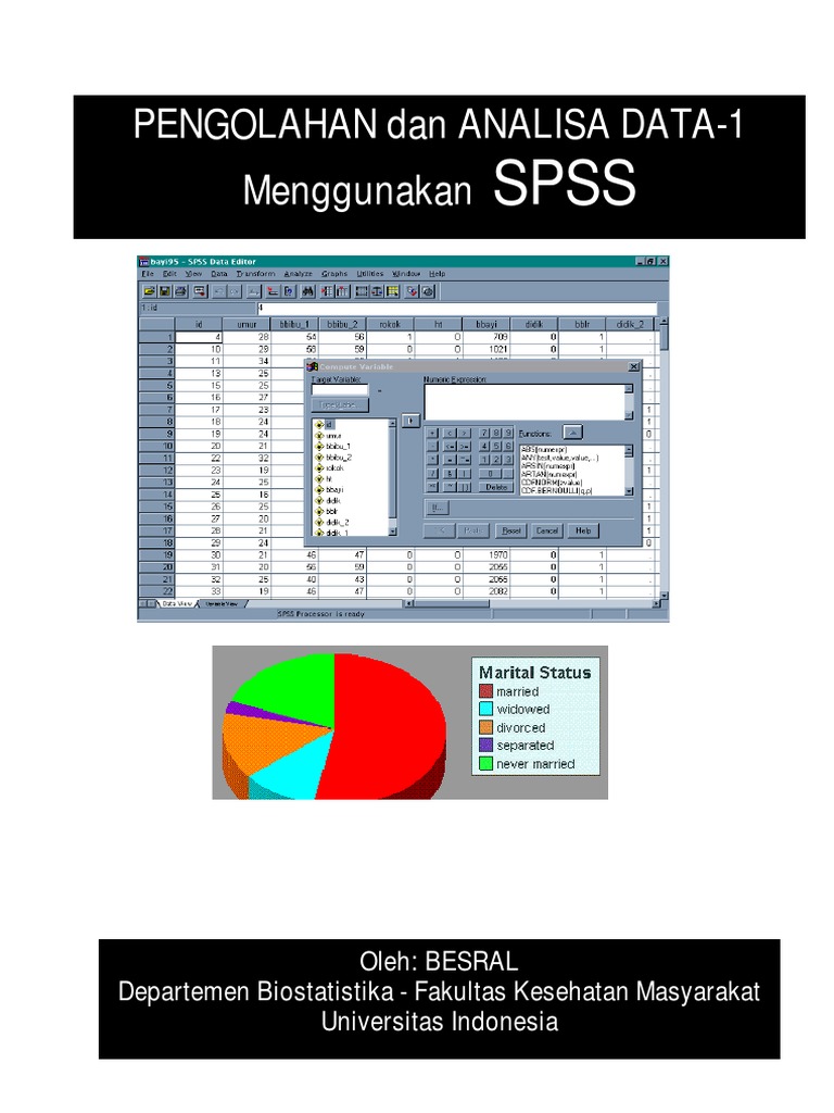 Modul SPSS Besral 2010 | PDF
