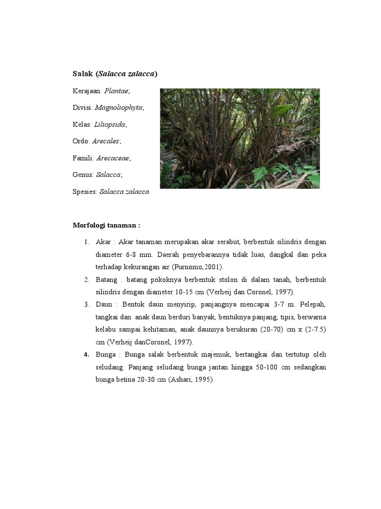 Klasifikasi Dan Morfologi Tumbuhan | PDF