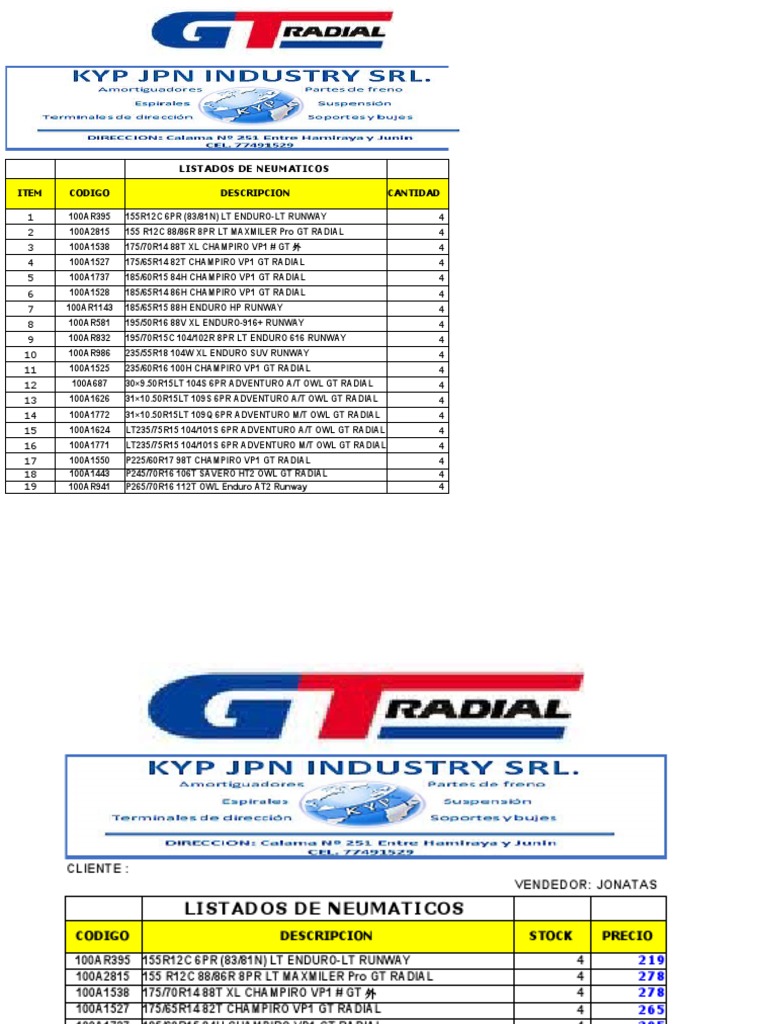 Precio Neumaticos Analisis de Codigos Vendibles | PDF | Business | Technology & Engineering