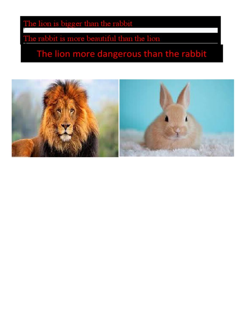 The Lion Is Bigger Than The Rabbit | PDF