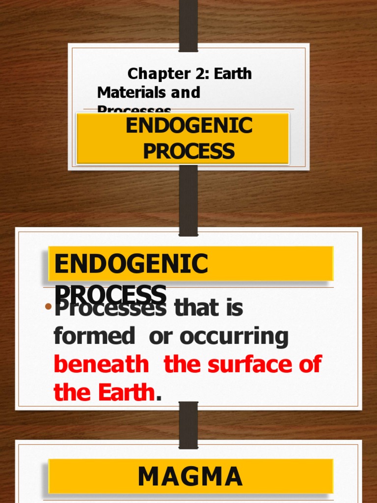 Q1C2L4 Endogenic Processes | PDF