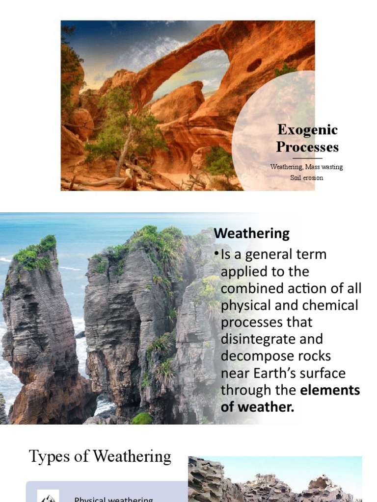 Q1C2L3 Exogenic Processes | PDF