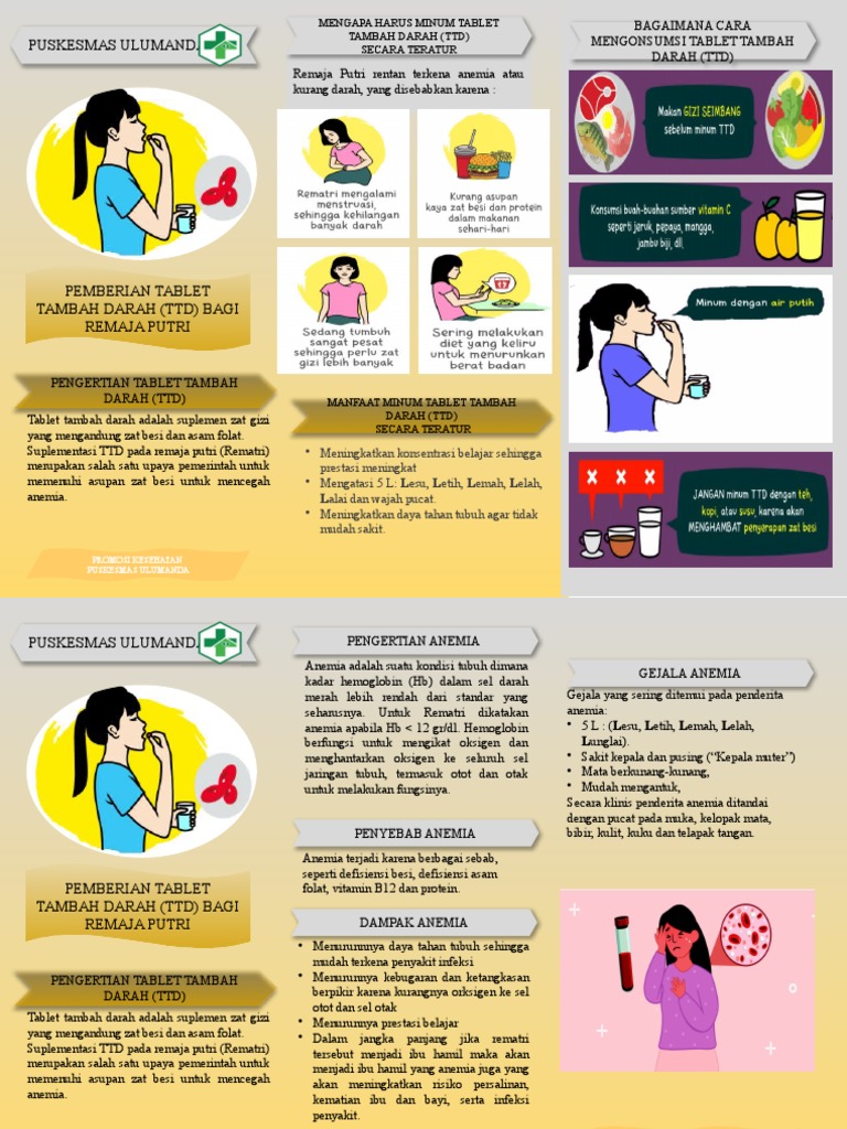 Leaflet Aksi Bergizi | PDF