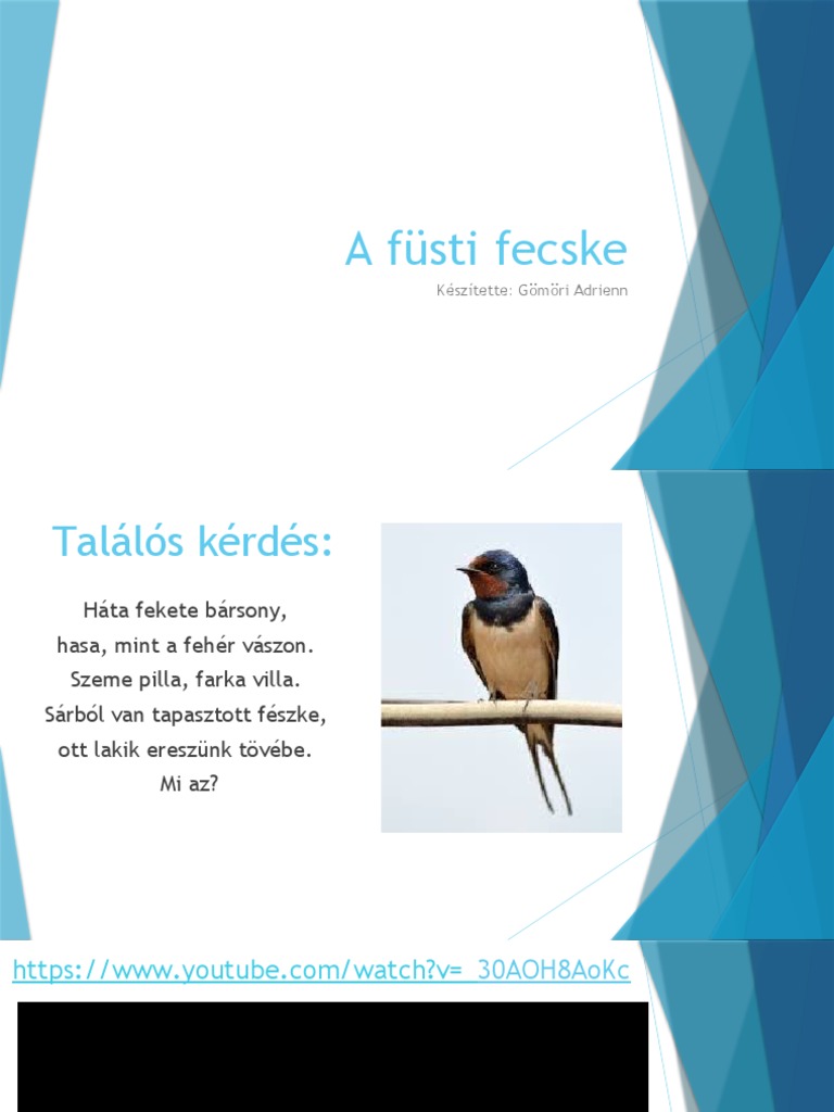 A Füsti Fecske | PDF