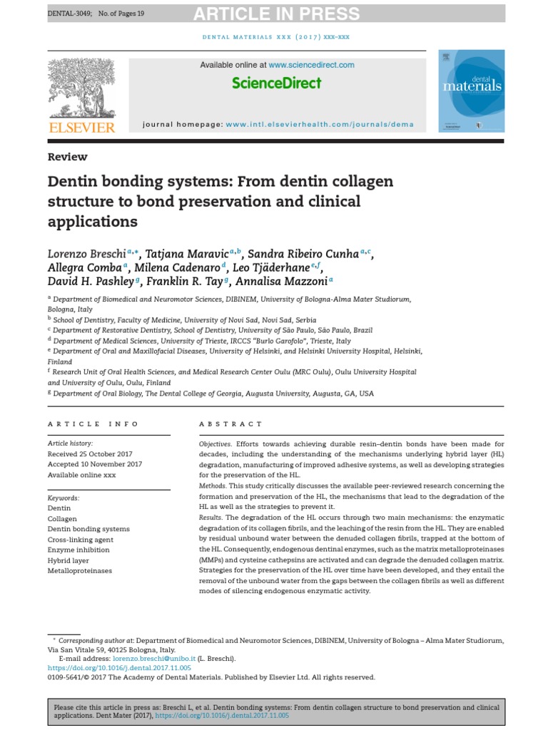 Dentin Bonding System From Collagen Structure... | PDF